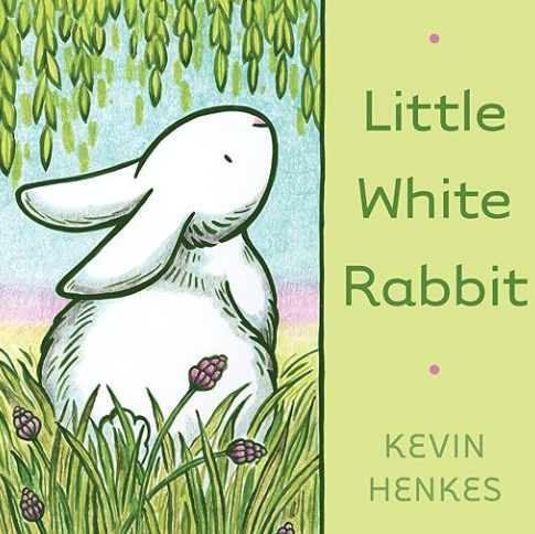 Little White Rabbit – StoryPlans.ai